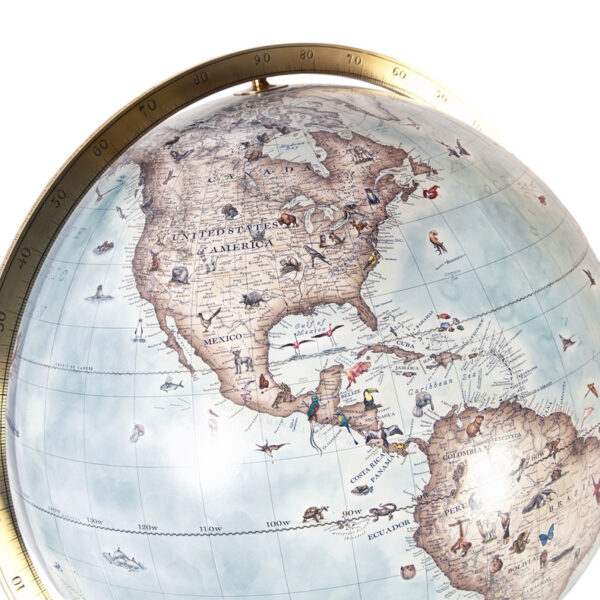 Animalia Edition - Illustrated Large Animal Themed Map - Bellerby & Co ...